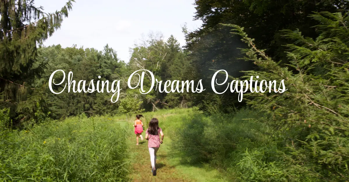 40+ Best Chasing Dreams Captions & Quotes To Stay Motivated