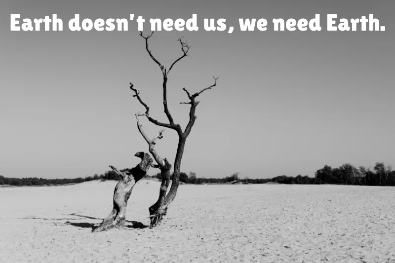 Best 100+ Climate Captions For Instagram To Inspire Action