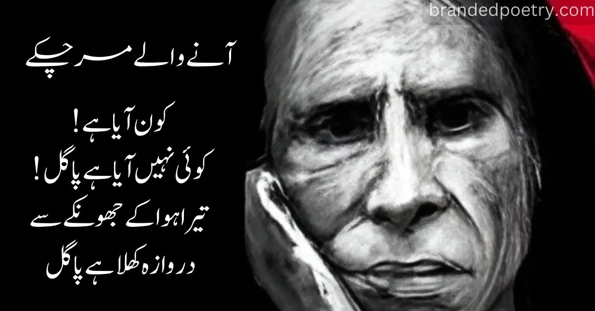 John Elya Poetry - 25+ Top Poetry Lines To Touch Your Feelings