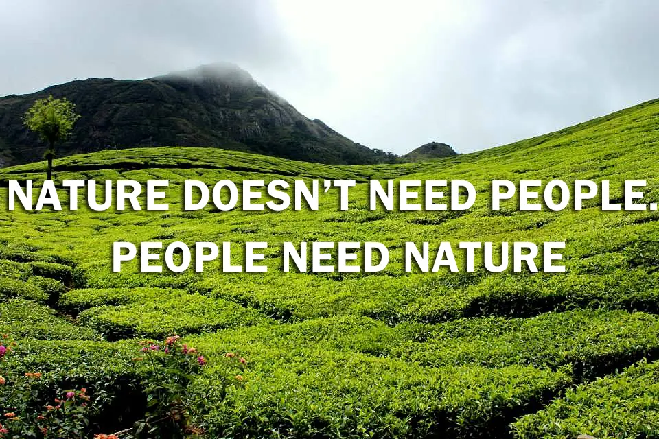 100+ Caption For Nature Beauty – Perfect Lines To Inspire