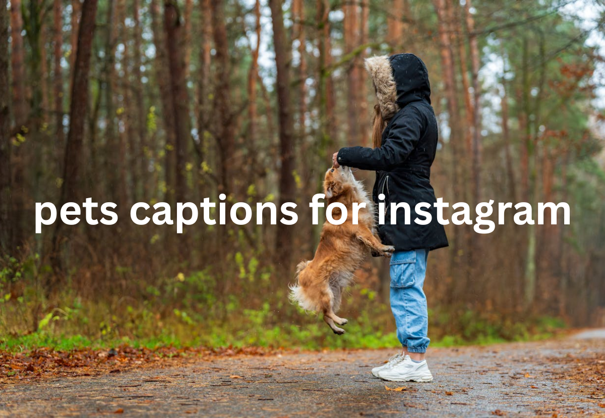 Best Pets Captions For Instagram | Cute, Funny & Creative