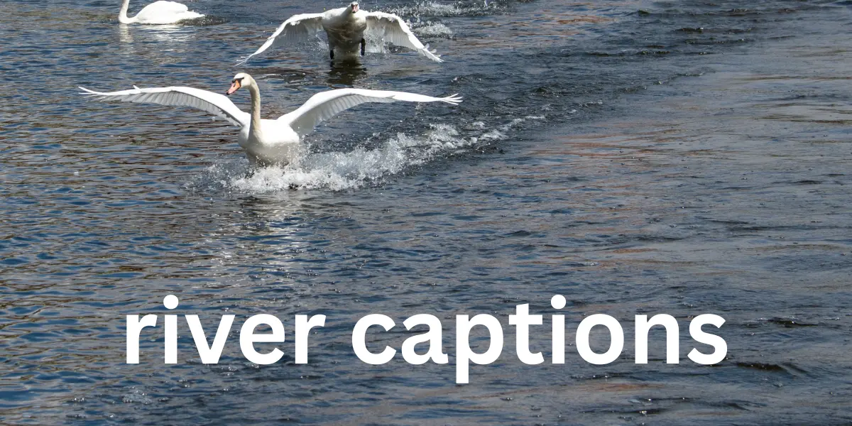 125+ Must-Read River Captions For Stunning Nature Shots
