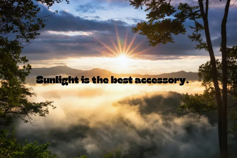 100+ Sunlight Captions For Instagram, Selfies & Travel Photos