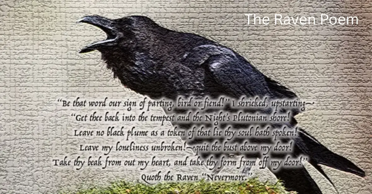 Raven Poem – Unraveling The Mystery Behind Edgar Allan Poe’s ...