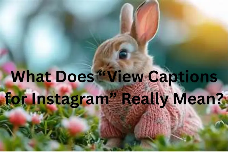 View Captions For Instagram | Best Guide To Read & Create